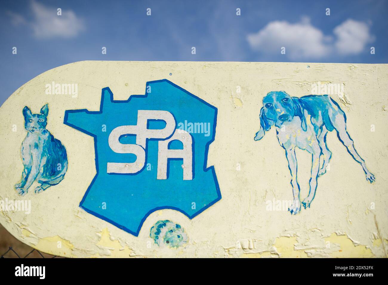 Logo spa animaux hi-res stock photography and images - Alamy