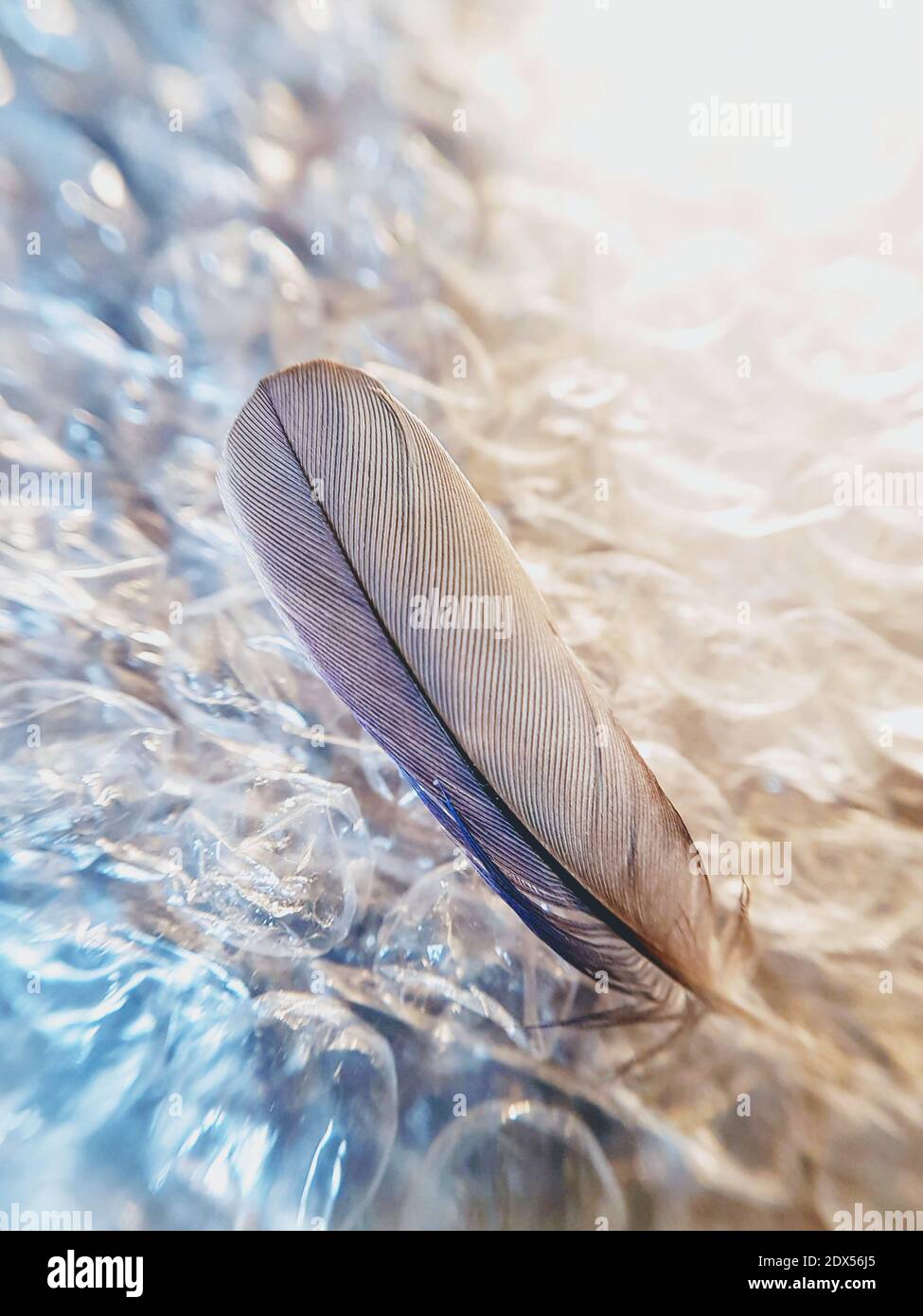 Feather wrap hi-res stock photography and images - Alamy