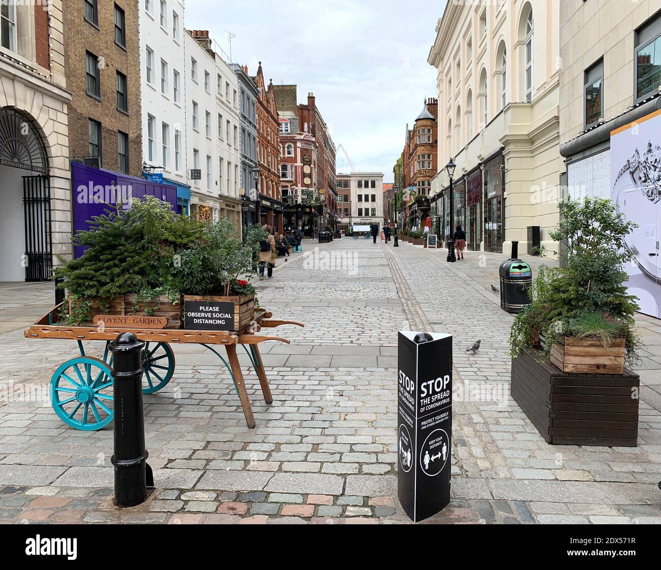 December garden centre hi-res stock photography and images - Alamy