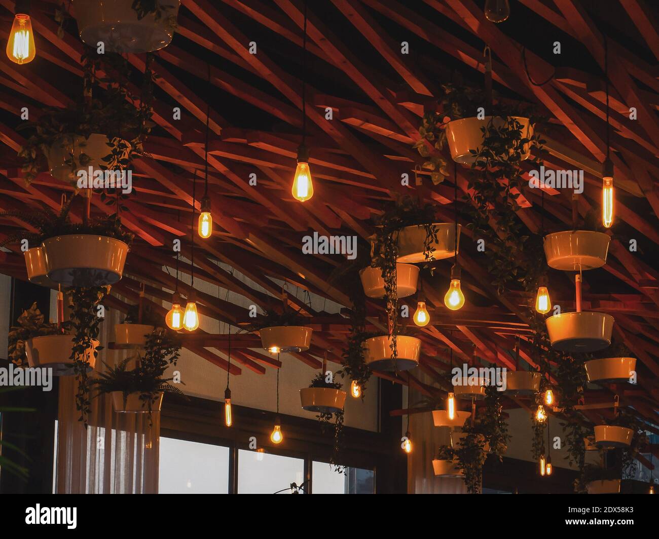 Wooden decorative ceiling with glowing bulbs and hanging planters with ...