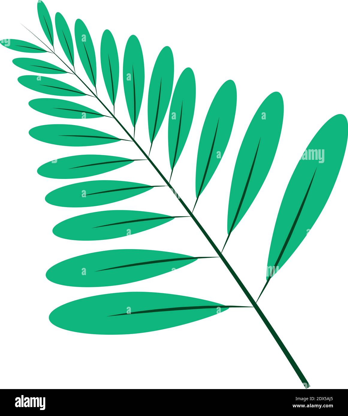 Pinnate form hi-res stock photography and images - Alamy