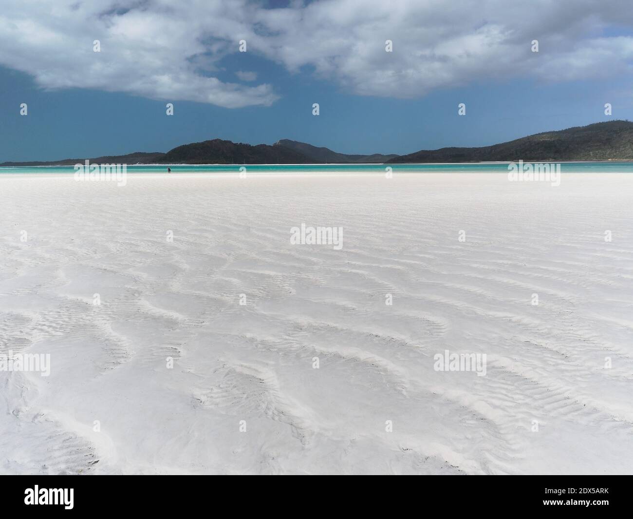 Hamilton beach new zealand hi-res stock photography and images - Alamy