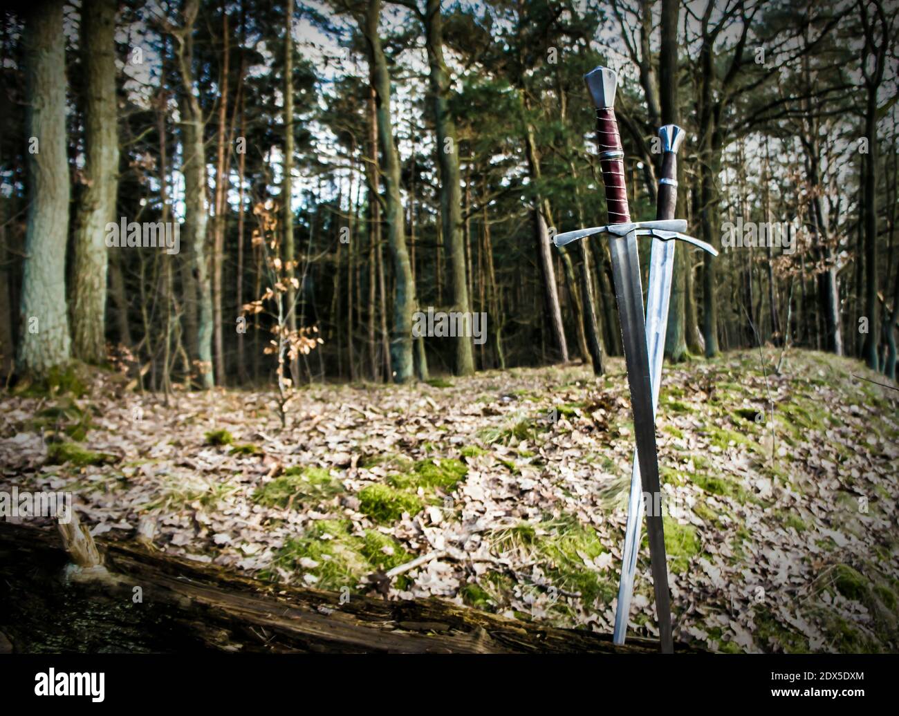 Trees And Swords In Forest Stock Photo - Alamy