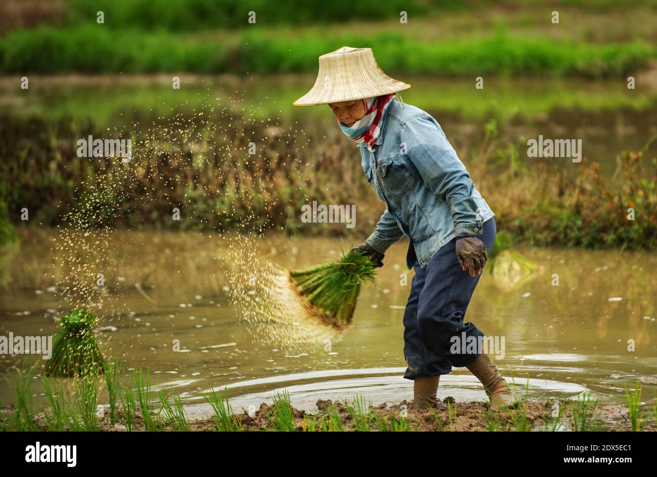 Lee craker hi-res stock photography and images - Alamy