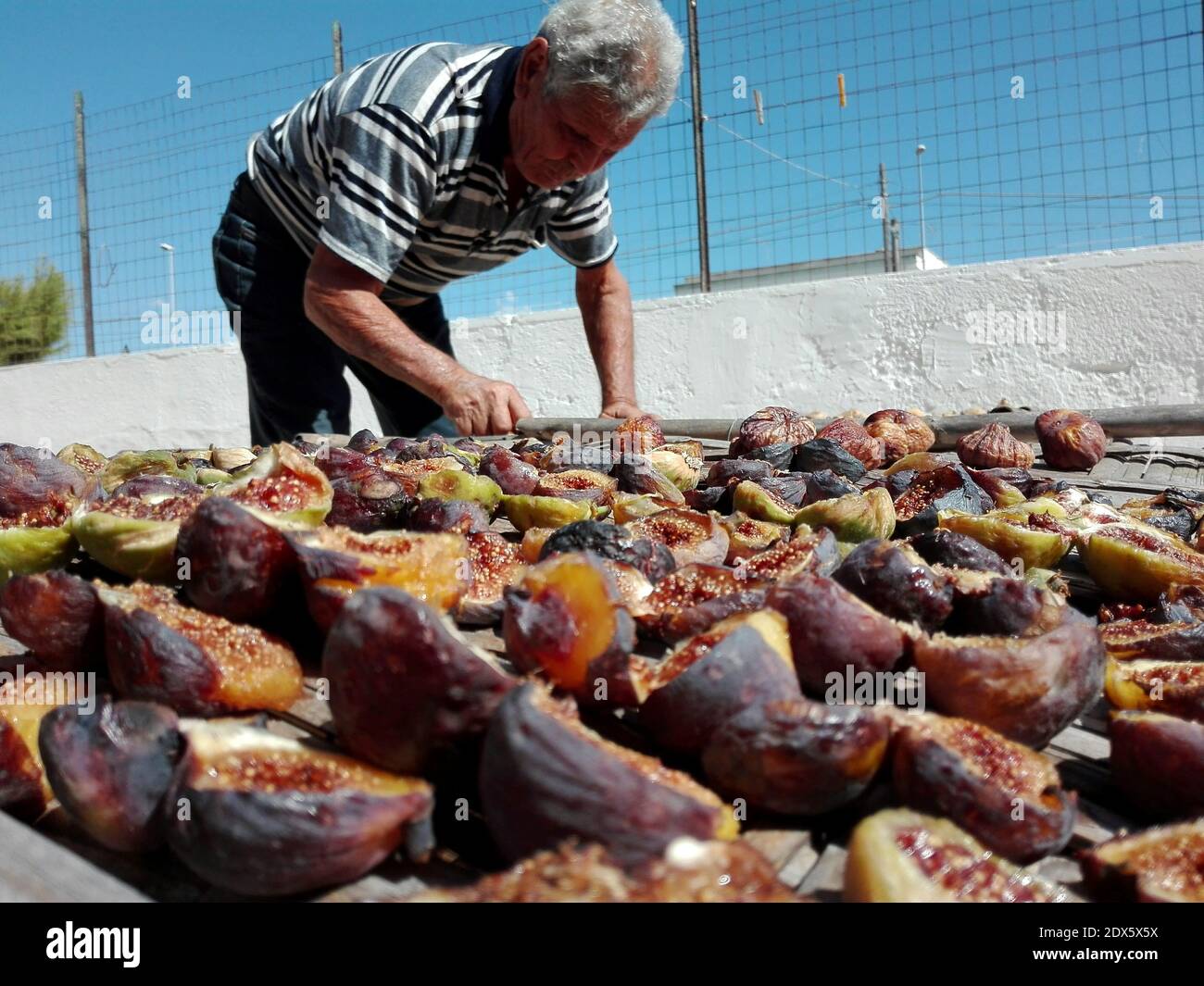 Drying figs hi-res stock photography and images - Alamy