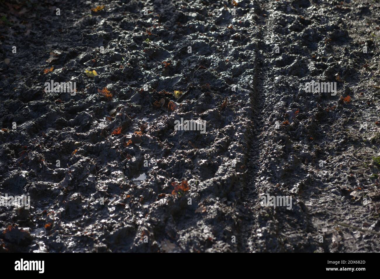 1 - High contrast sunny scene of thick, deep and squelchy mud. Full ...