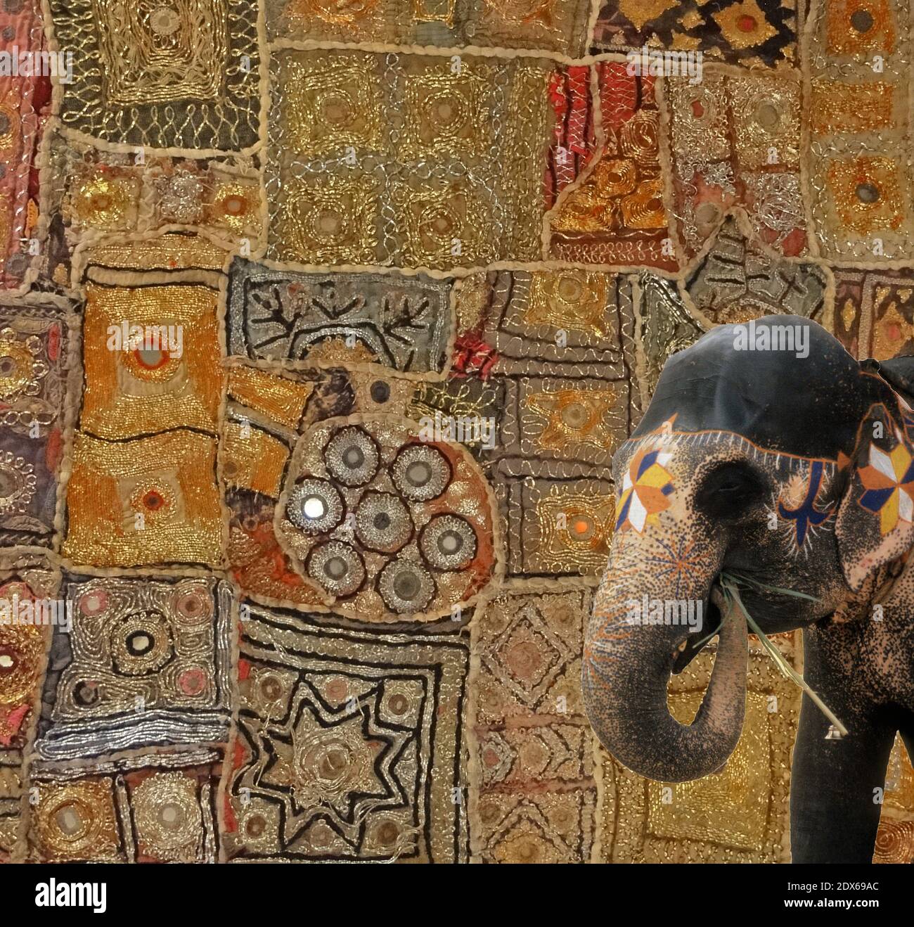 Caparisoned elephants on parade in Rajasthan, India Stock Photo - Alamy