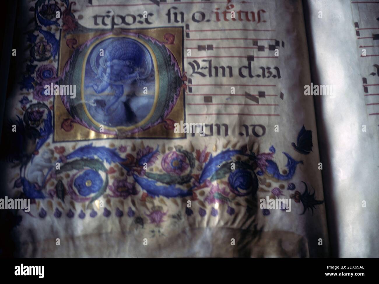 Medieval library hi-res stock photography and images - Alamy