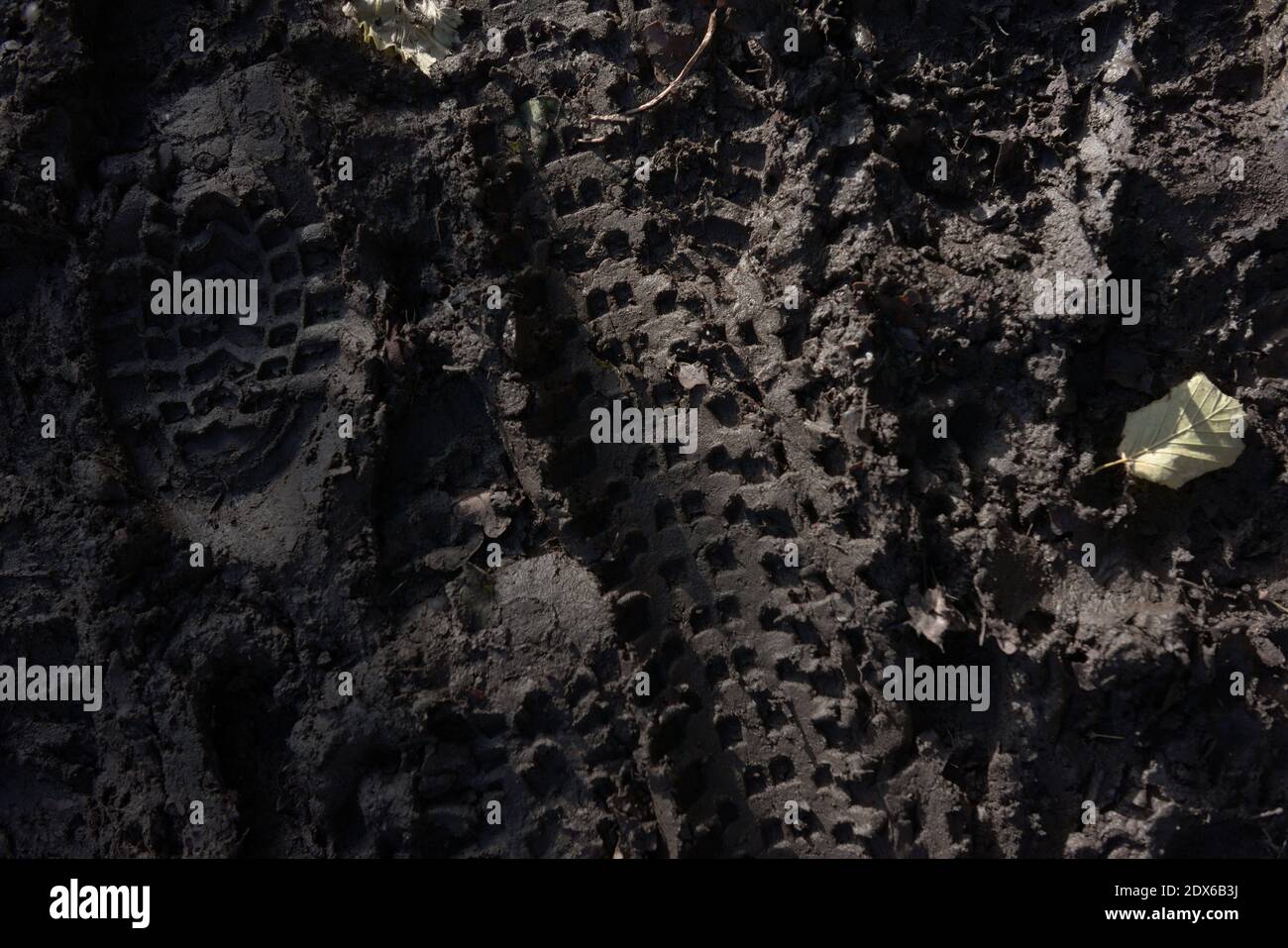 Thick tread hi-res stock photography and images - Alamy