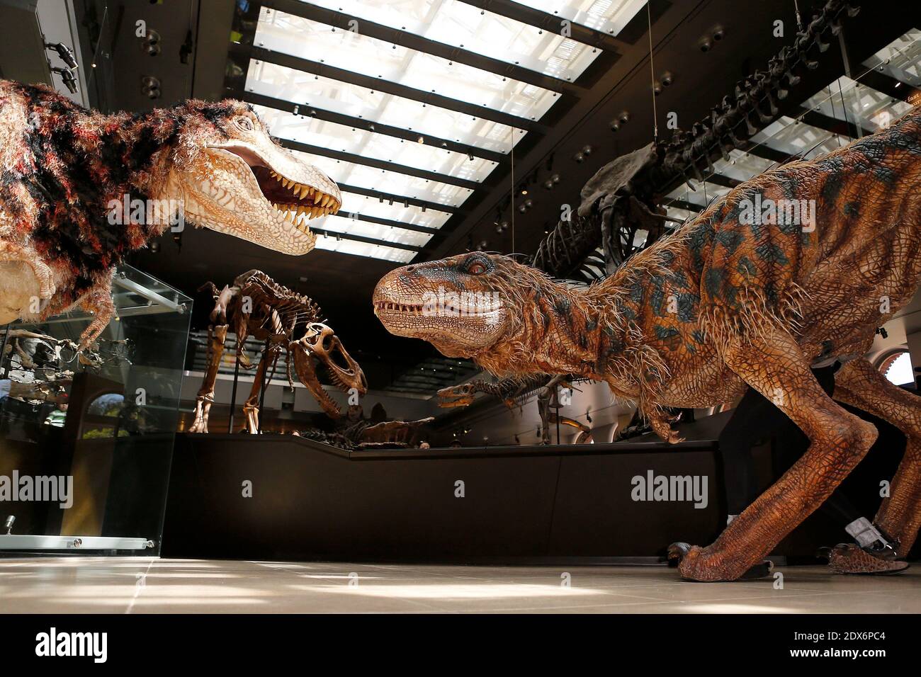 Hunter, the Natural History Museum of Los Angeles County (NHM) resident ...