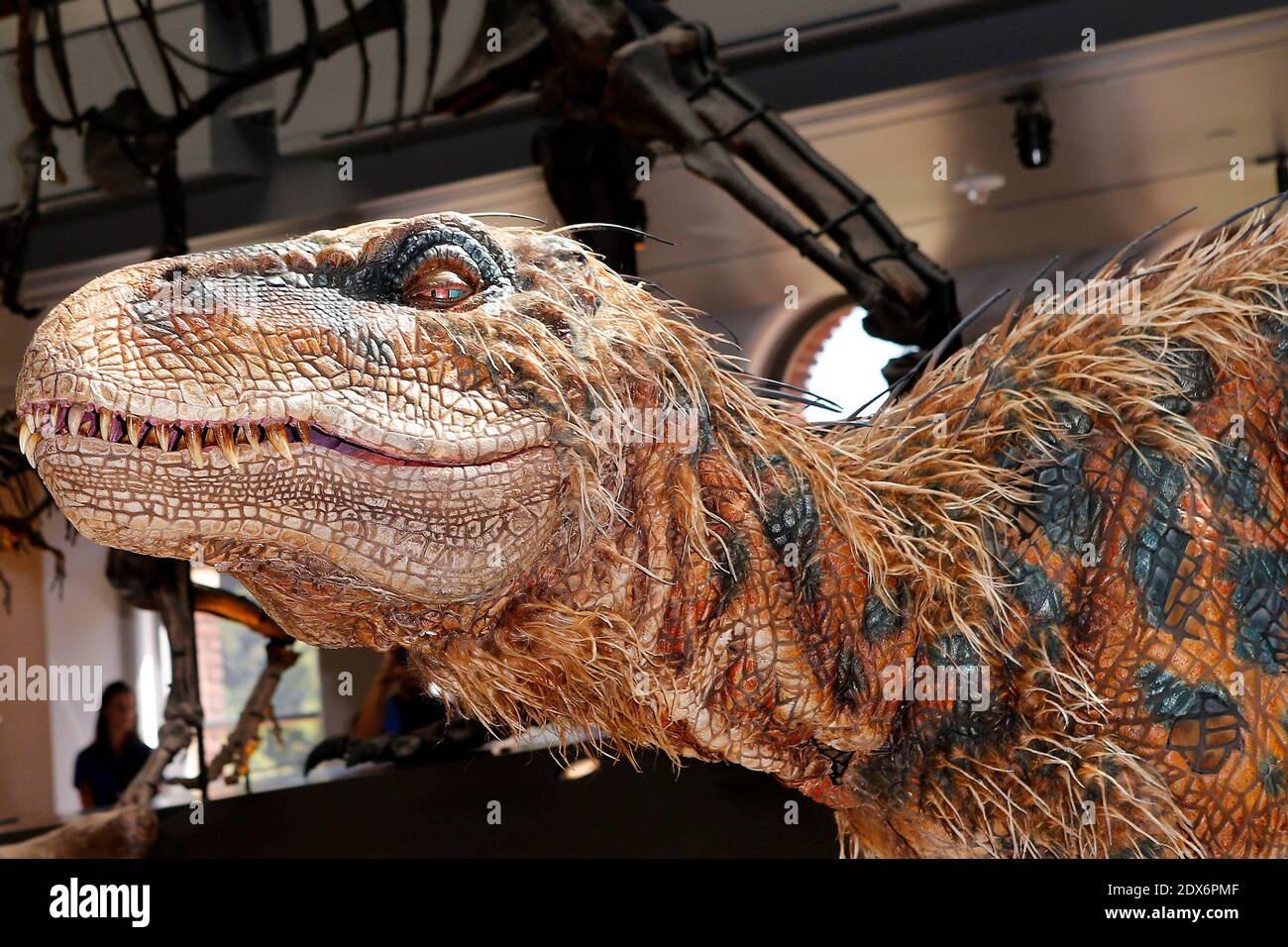 Hunter, the Natural History Museum of Los Angeles County (NHM) resident ...