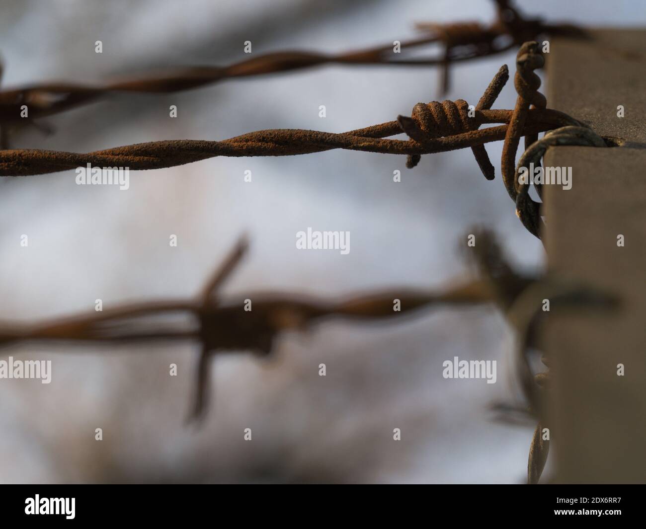 Tied to barbed wire fence hi-res stock photography and images - Alamy