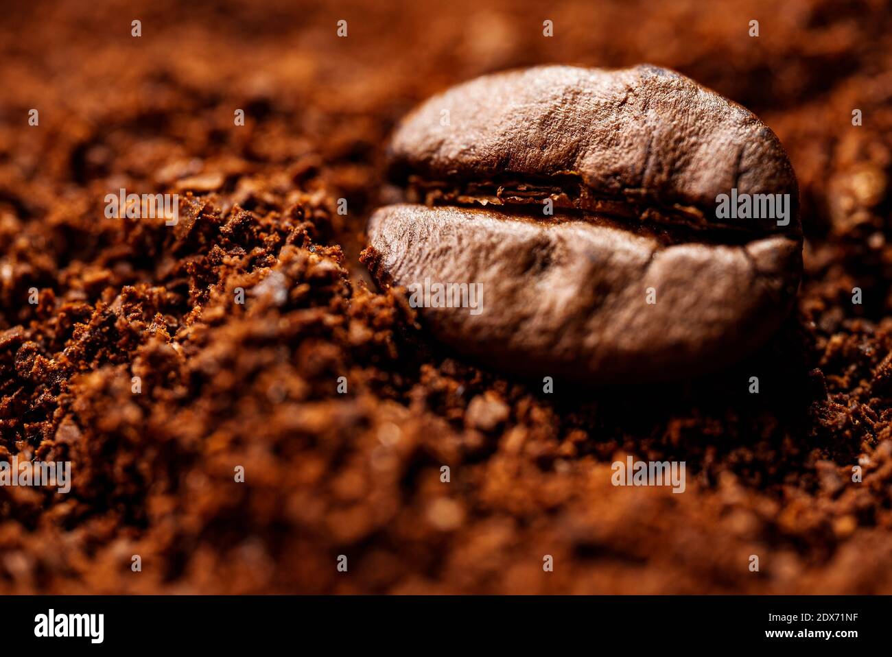 Macro view of single coffee bean and ground coffee Stock Photo - Alamy