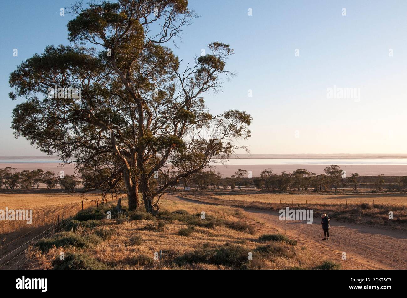 Lake tyrrell victoria hi-res stock photography and images - Alamy