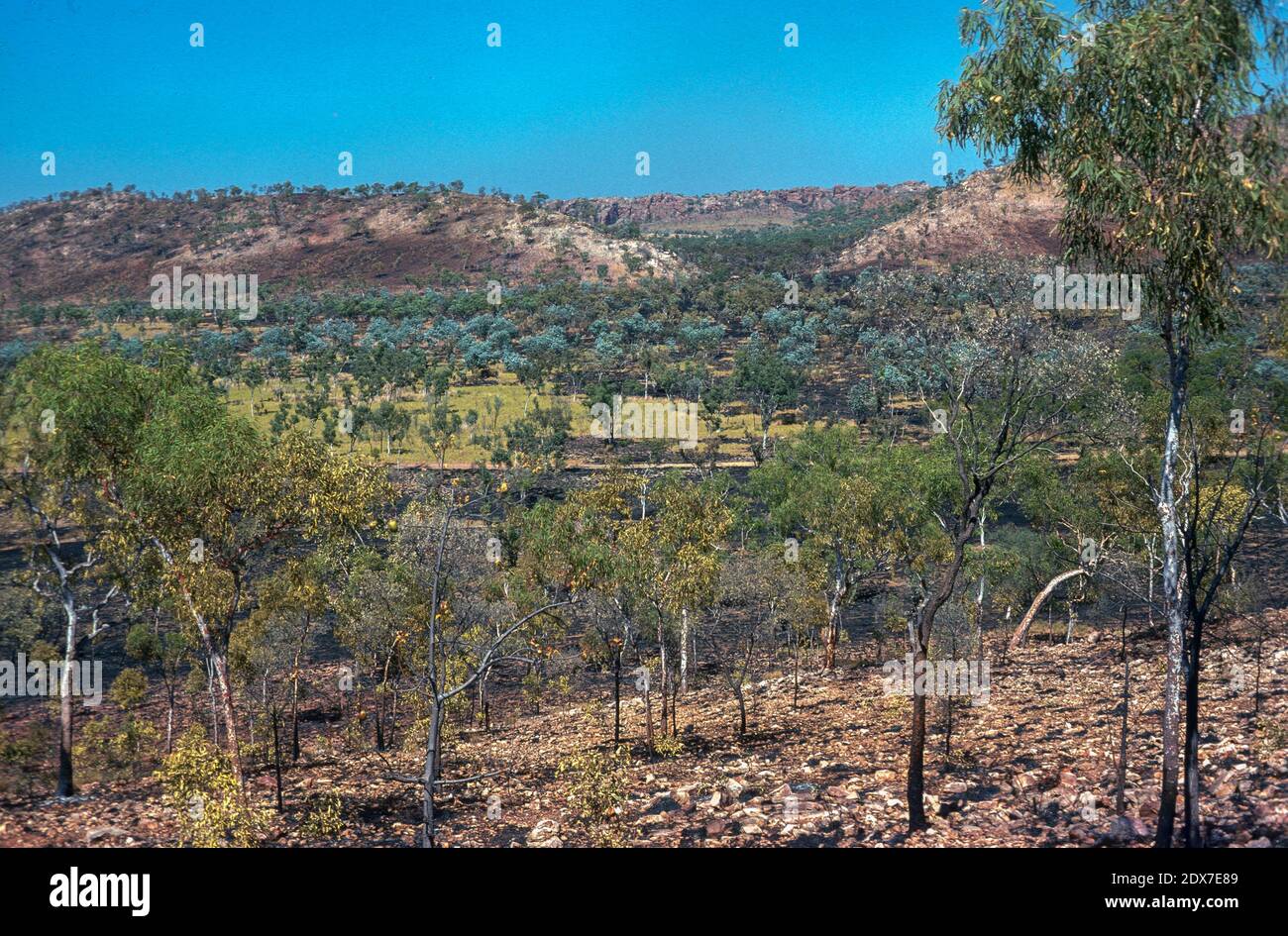 Gulf of carpentaria hi-res stock photography and images - Alamy
