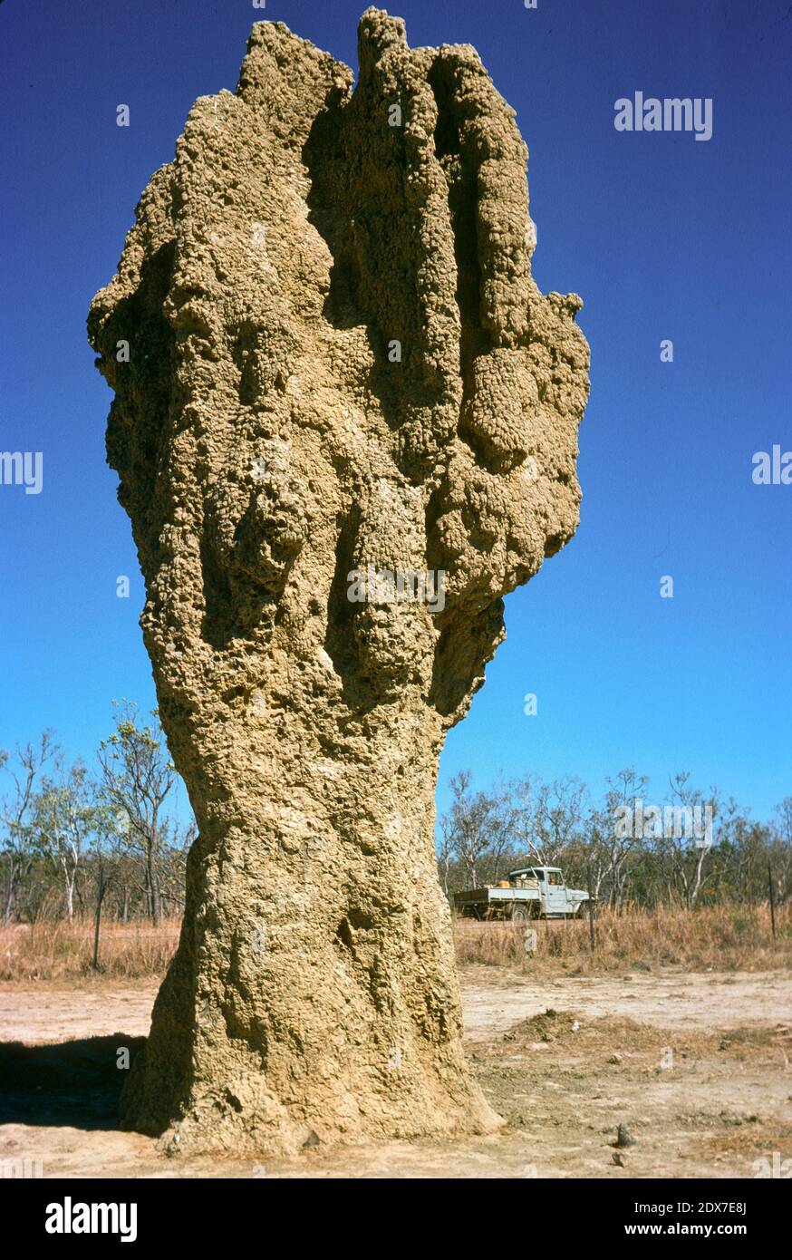 Giant anthill hi-res stock photography and images - Alamy