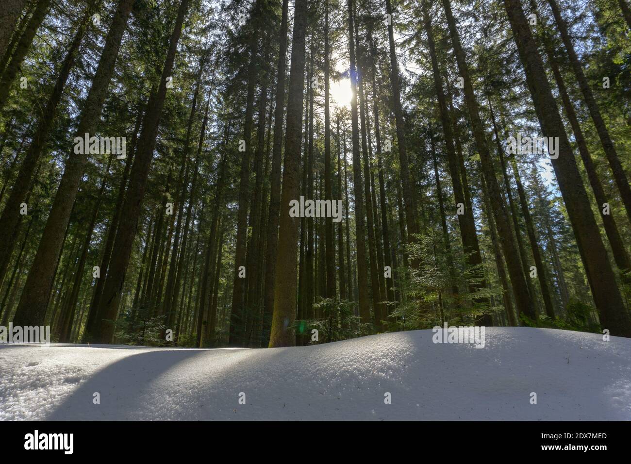 Furtwangen im schwarzwald hi-res stock photography and images - Alamy