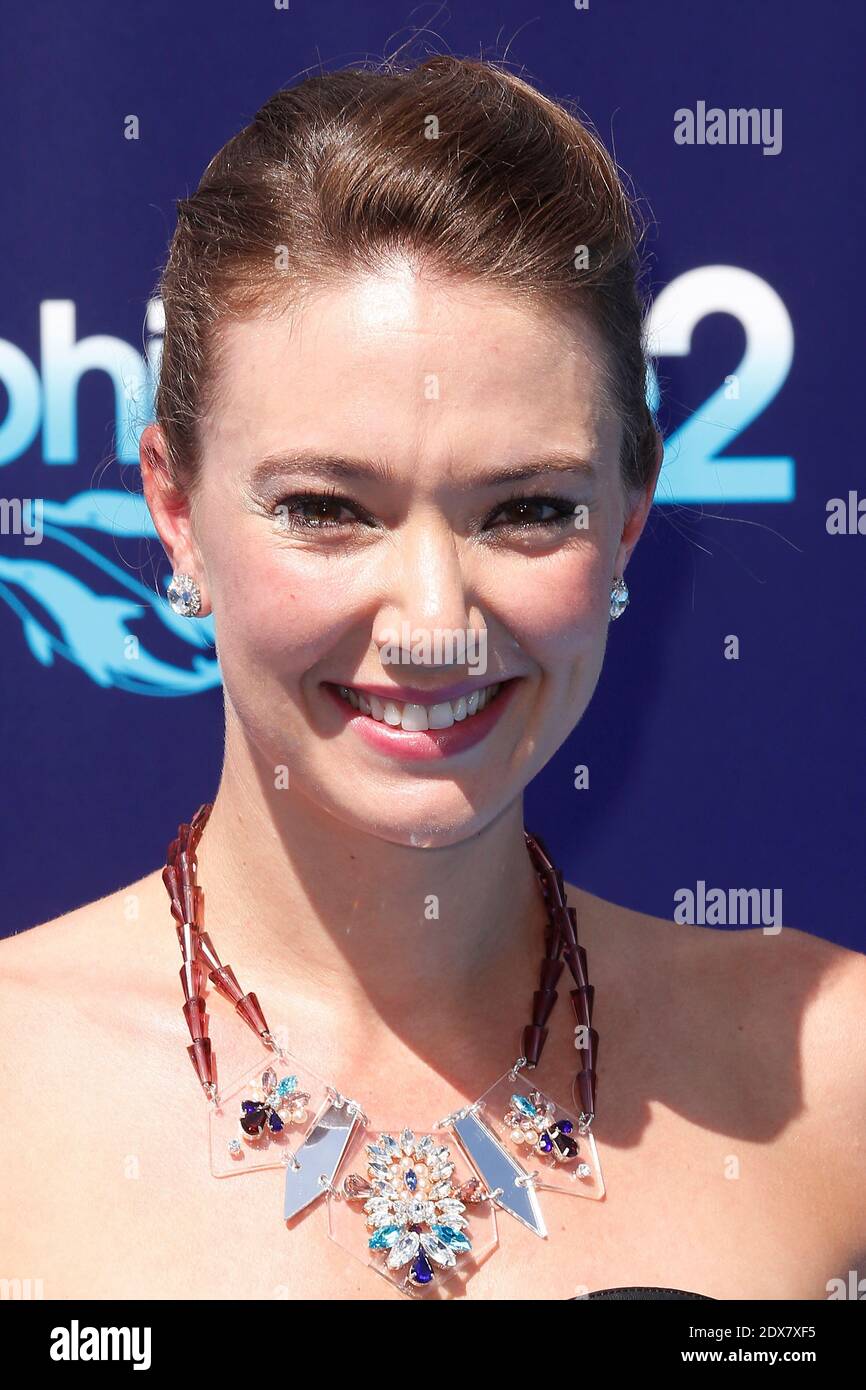 Austin highsmith hi-res stock photography and images - Alamy