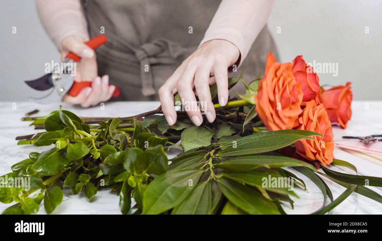 Florist running red roses for bouquet arrangement Stock Photo - Alamy