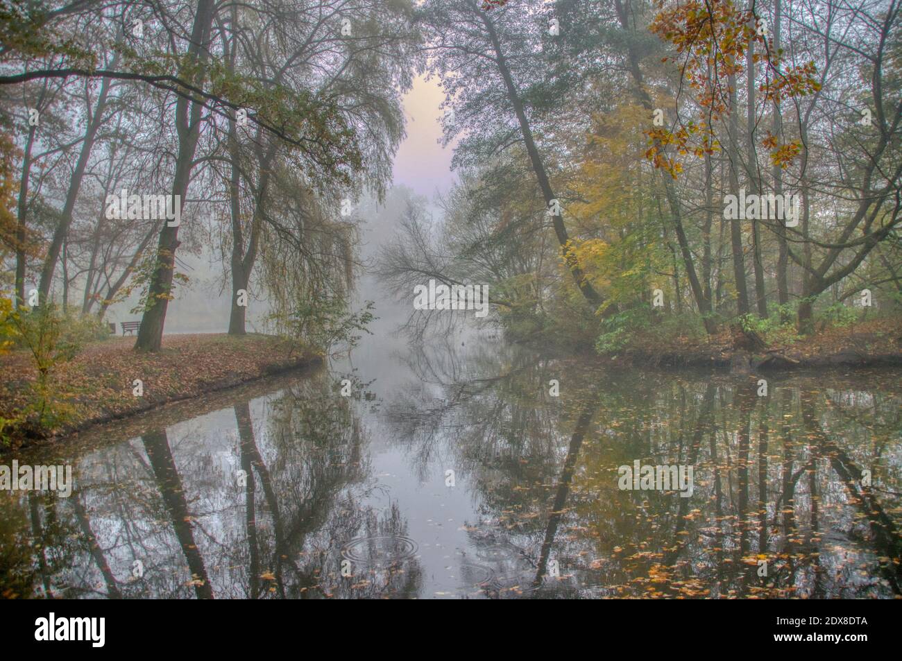 Bolko High Resolution Stock Photography and Images - Alamy