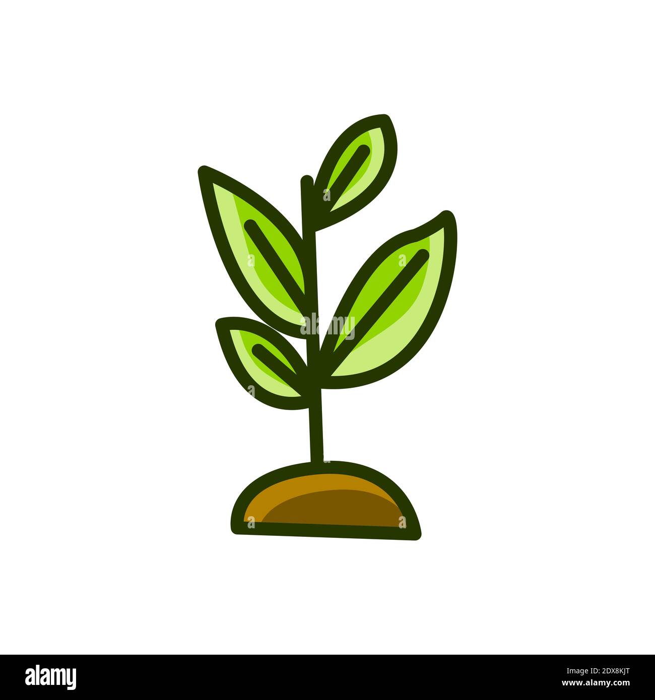 Tree Seed Vector
