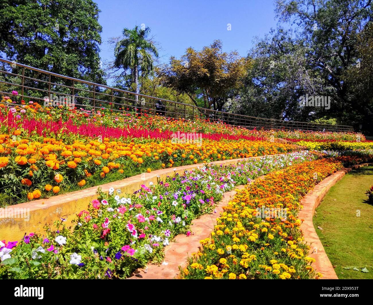 Garden puducherry india hi-res stock photography and images - Alamy