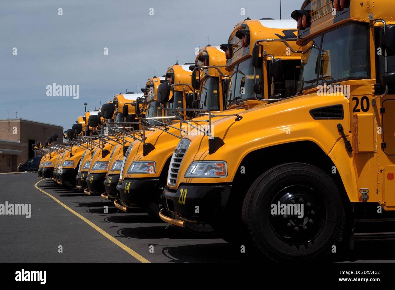 Many yellow school buses in a row in a parking lot of Cocalico high ...