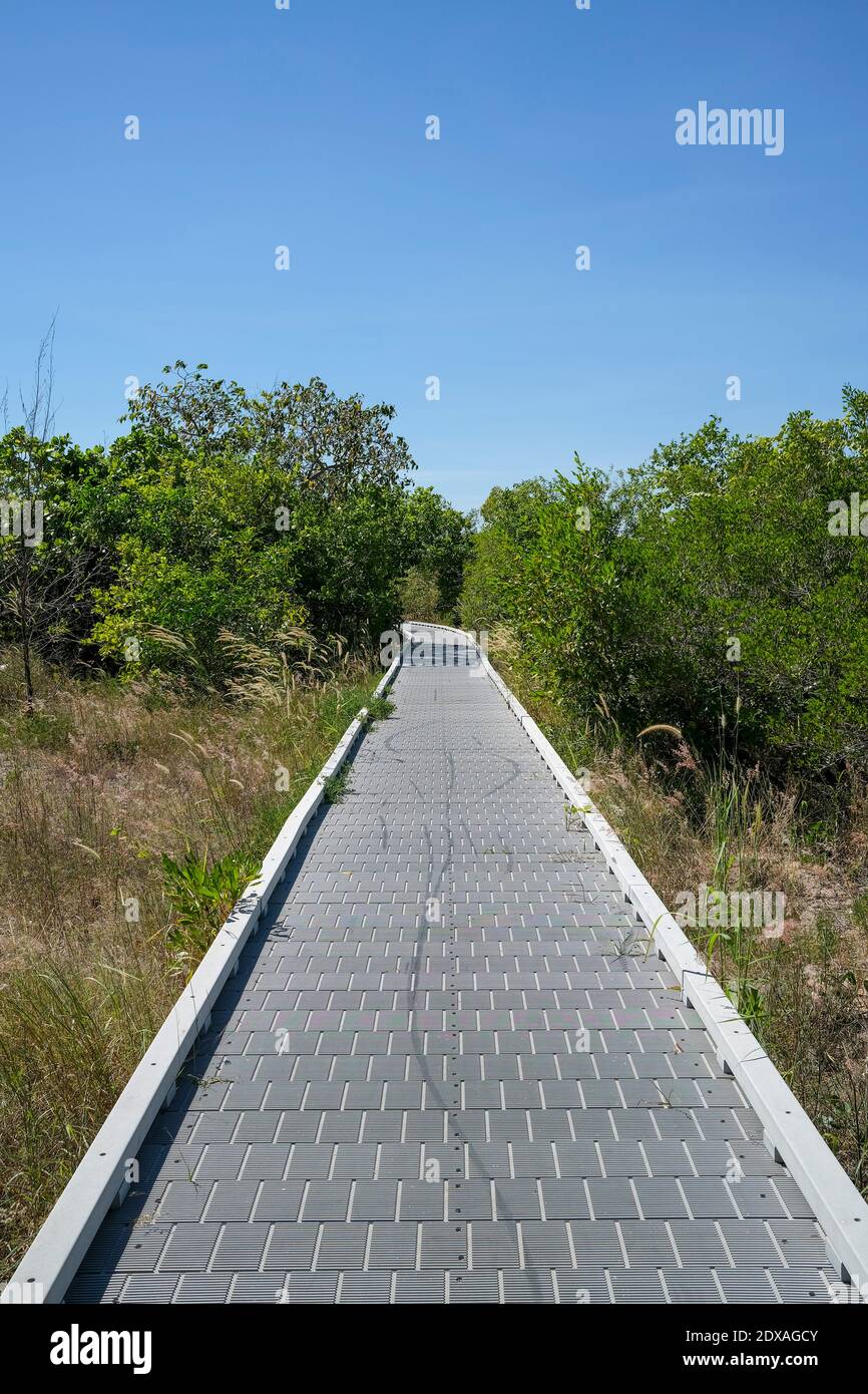 East point nature reserve darwin hi-res stock photography and images ...