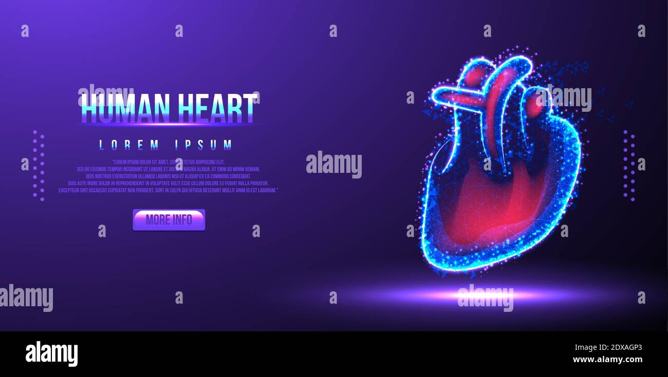 human heart low poly wireframe vector illustration Stock Vector Image ...