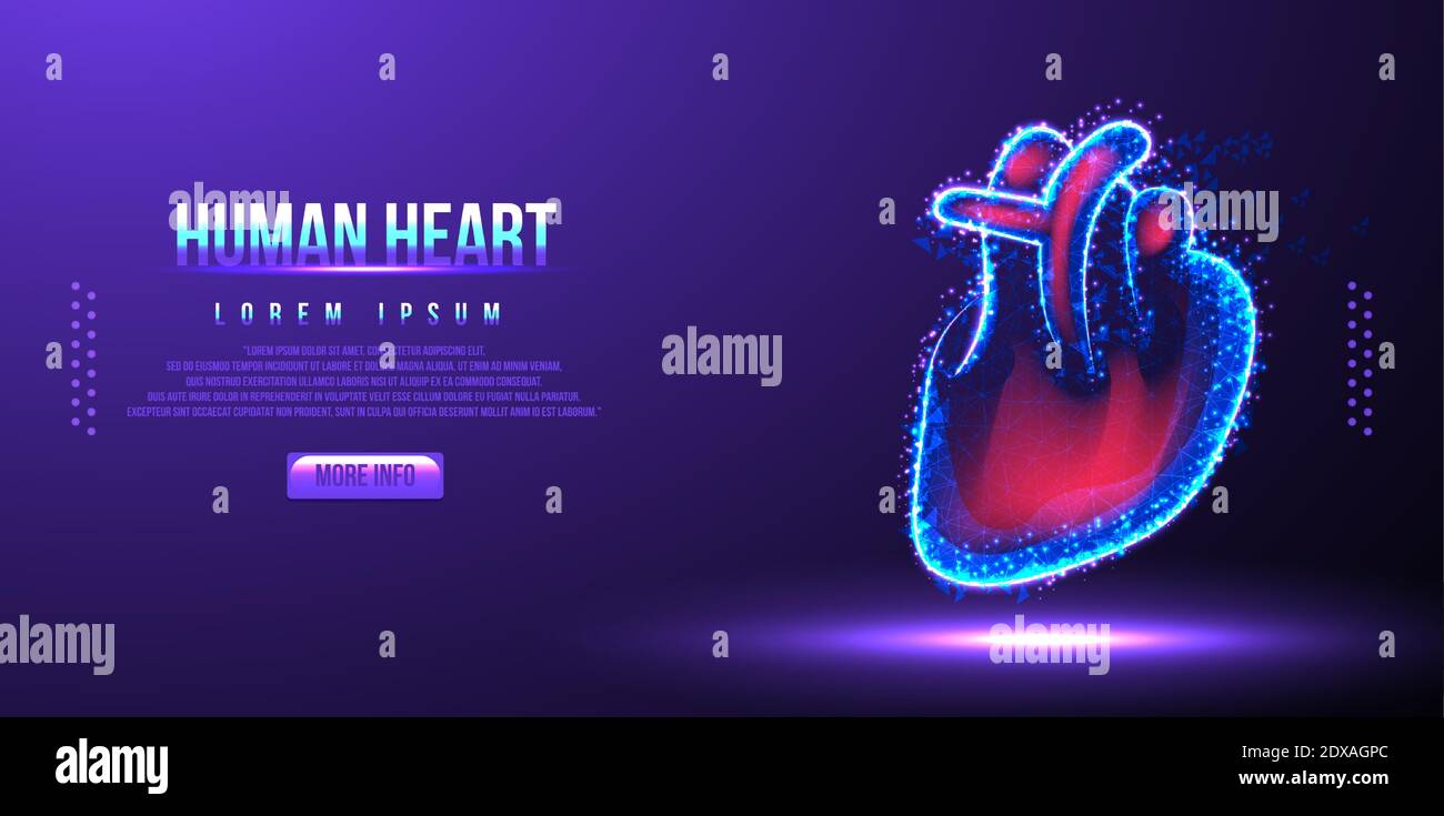human heart low poly wireframe vector illustration Stock Vector Image ...