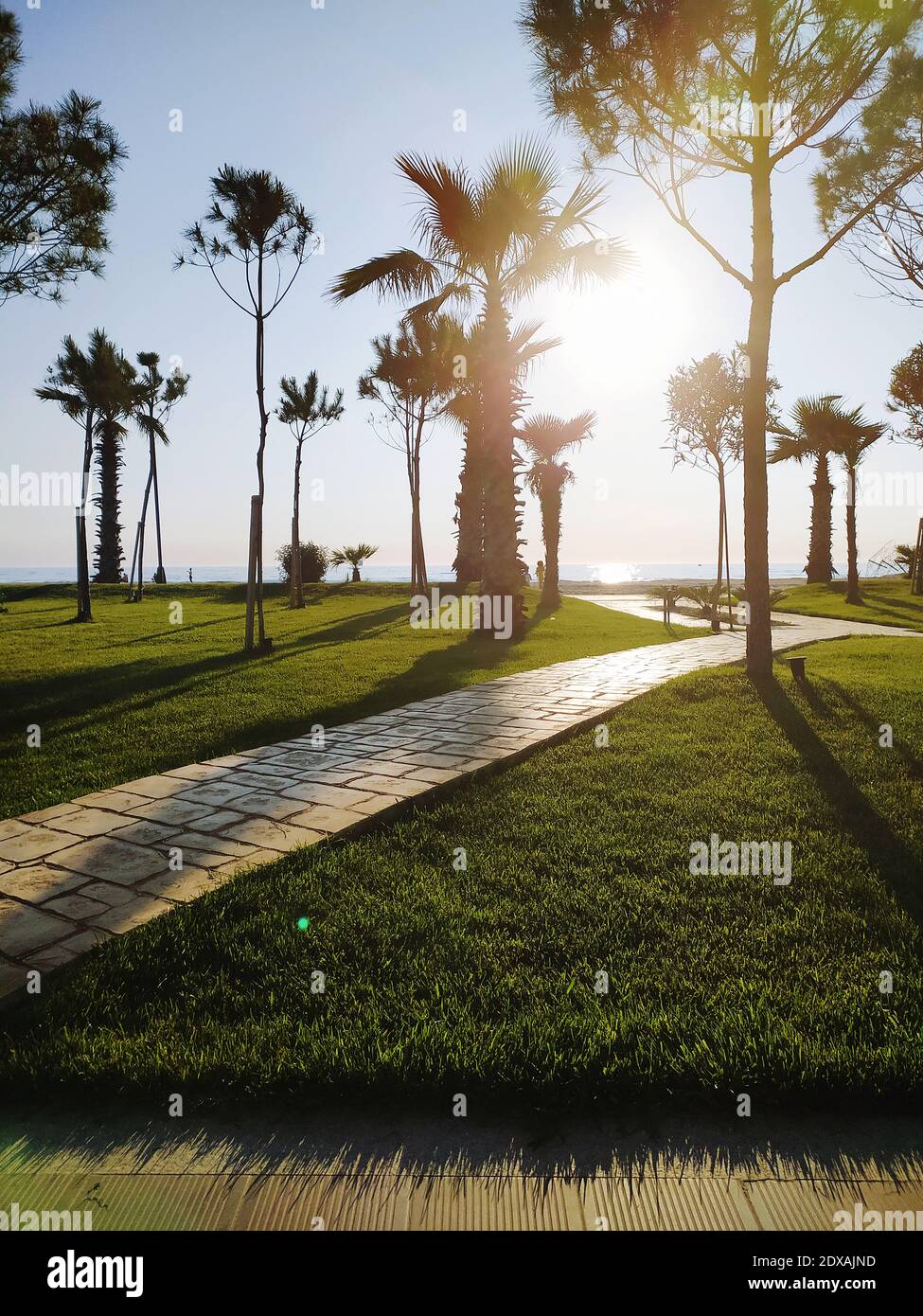Beach albania palm trees hi-res stock photography and images - Alamy