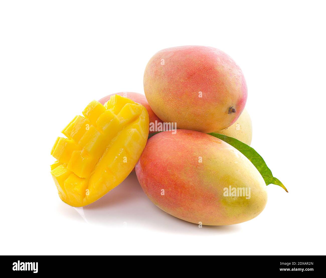 Cutting mango into half white hi-res stock photography and images - Alamy
