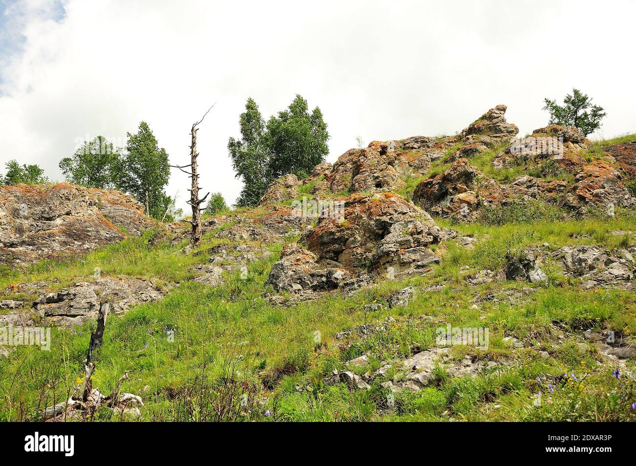 The slope of the rock massif with stone boulders and trunks of dead ...