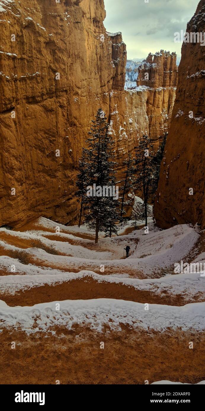 Bryce cayon national park hi-res stock photography and images - Alamy