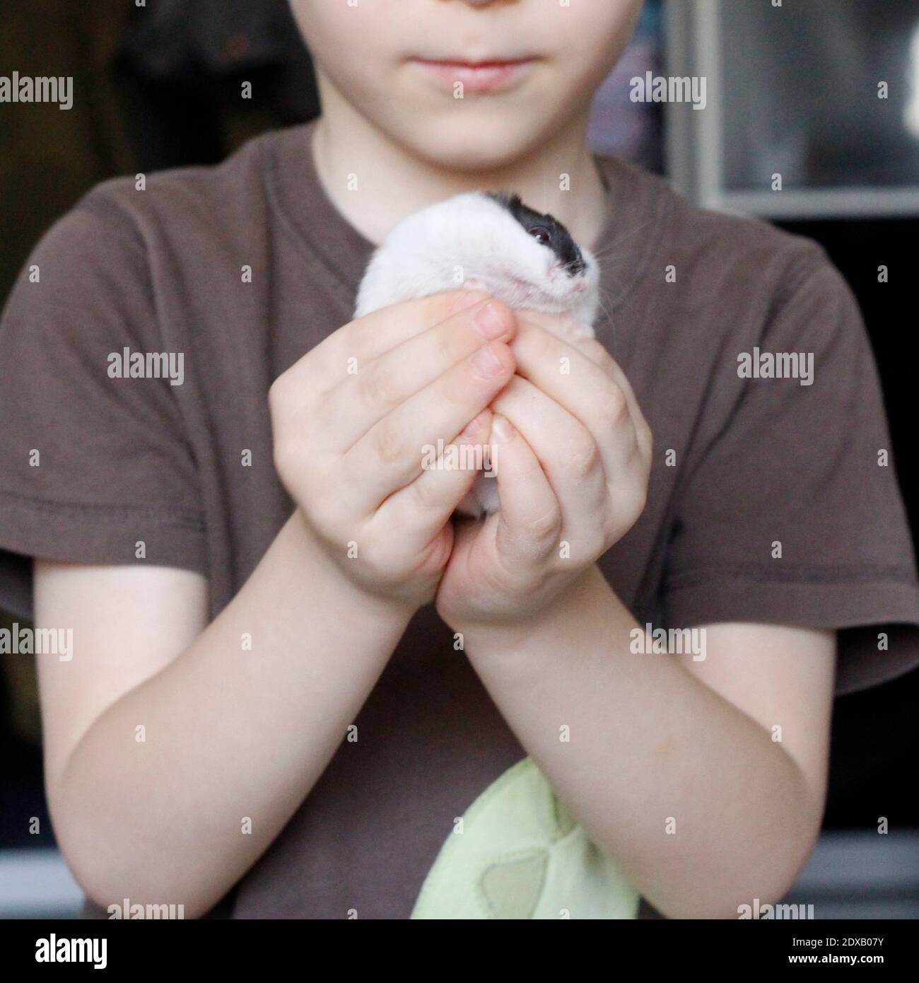 Human ear mouse hi-res stock photography and images - Alamy