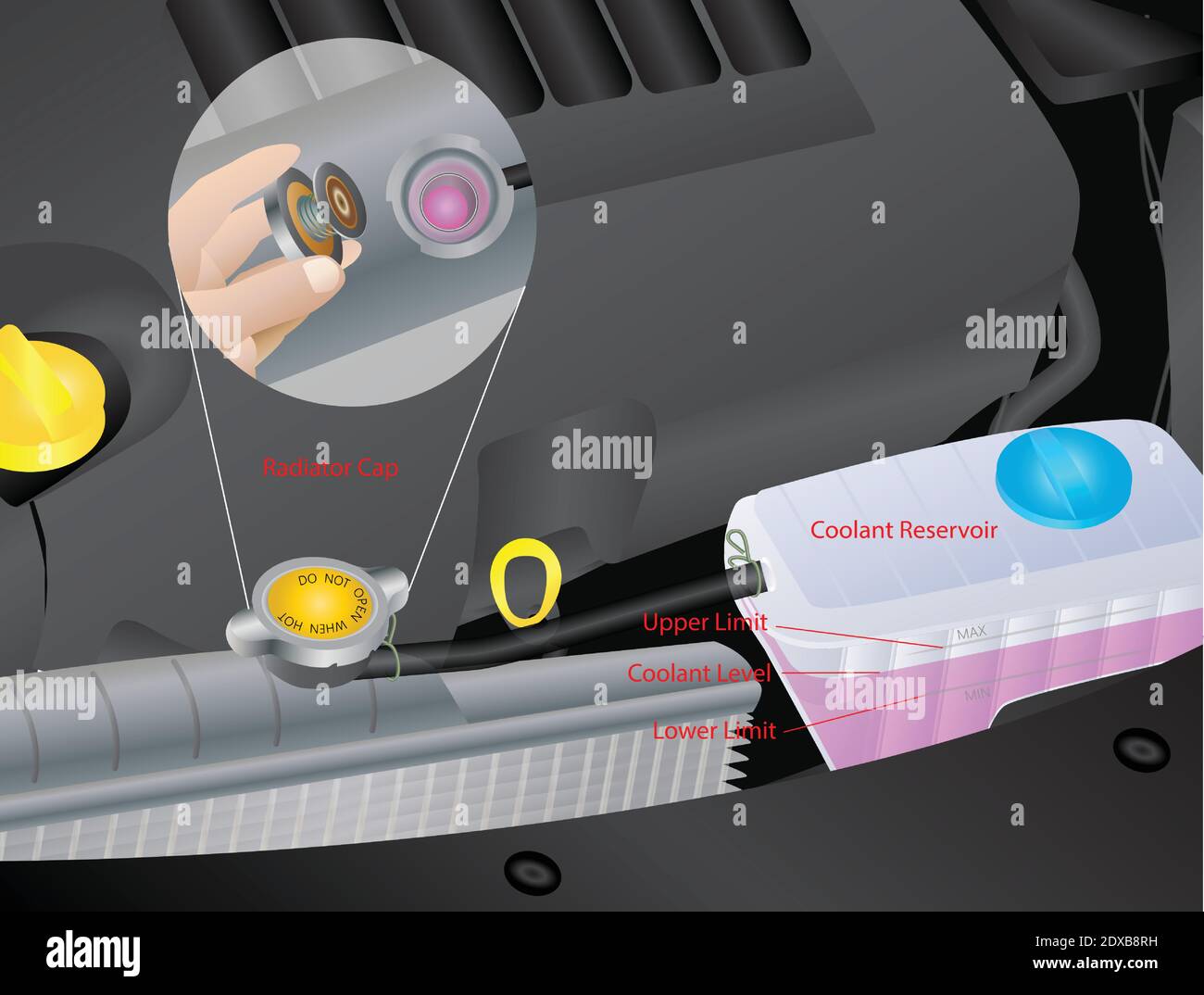 Vector Illustration of Radiator Coolant Inspection on a car Stock ...