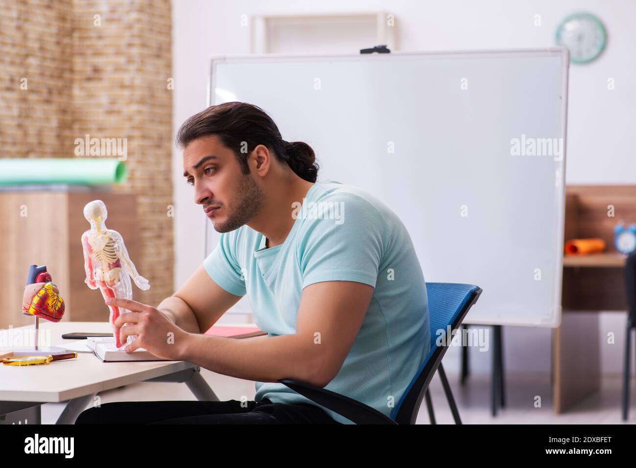 Young student medic studying human anatomy at home Stock Photo - Alamy