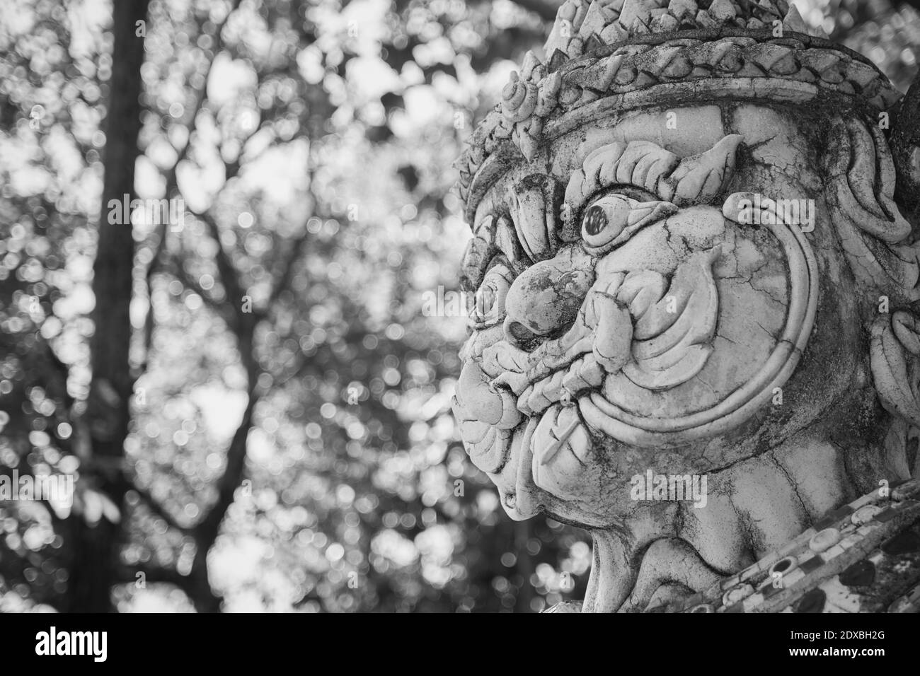 Phayao, Thailand - Nov 22, 2020: Right Frame Black and White Headshot ...