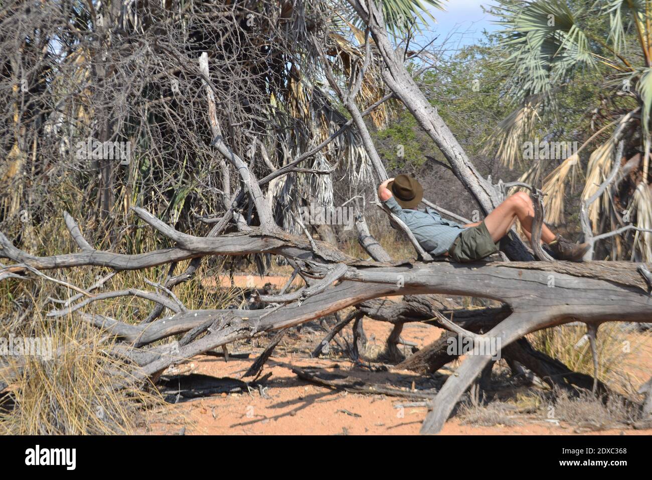Hoedspruit activity hi-res stock photography and images - Alamy