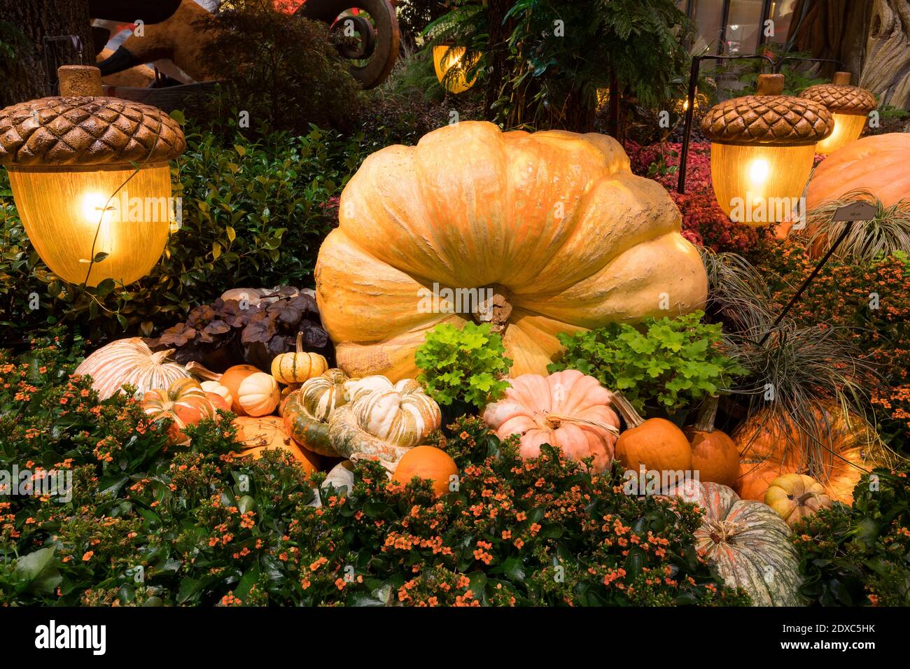 2020 Thanksgiving Decorations, Bellagio Conservatory & Botanical ...