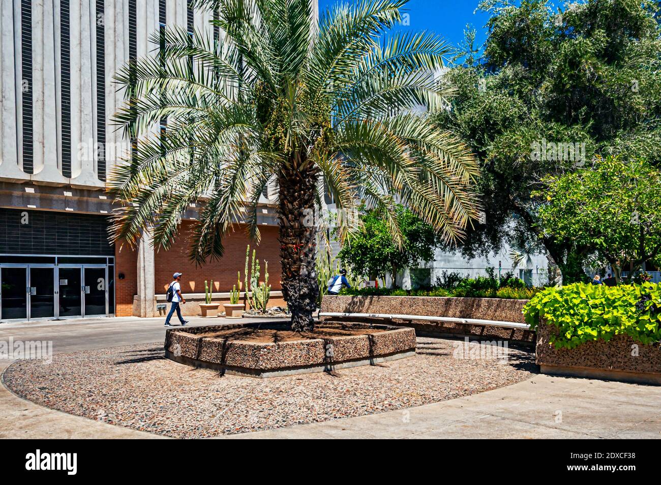 Arizona State University Building High Resolution Stock Photography and ...