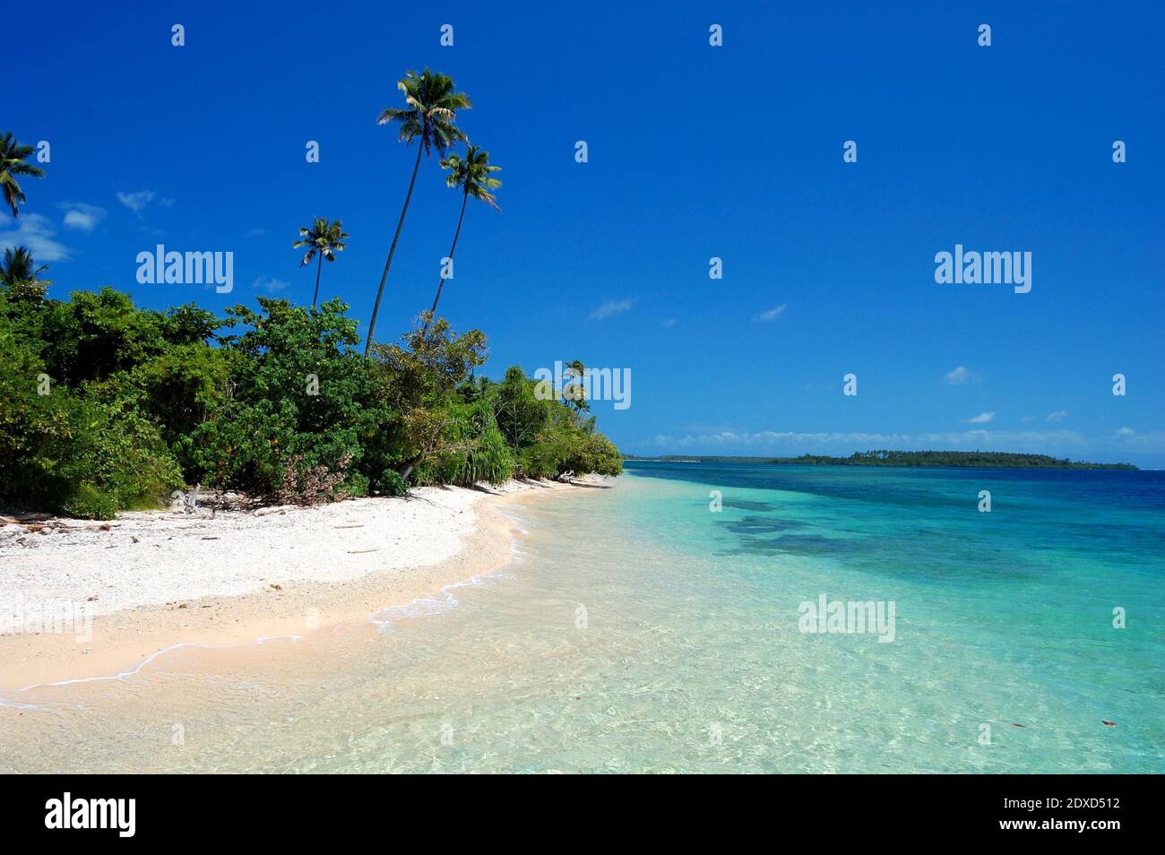Tobelo people hi-res stock photography and images - Alamy