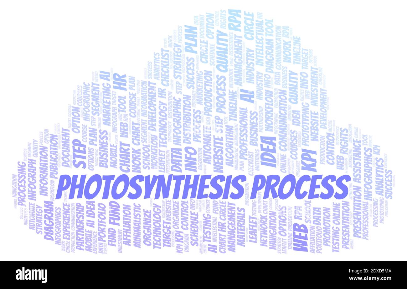 Diagram Of Photosynthesis High Resolution Stock Photography and Images ...