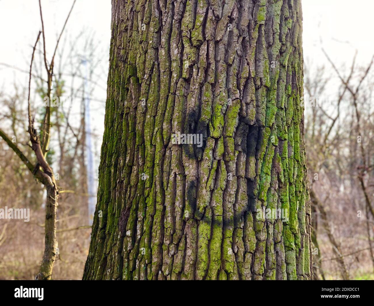 Smiley Face Draw High Resolution Stock Photography and Images - Alamy