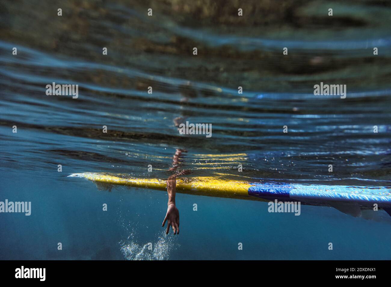 Hand of woman undersea at Maldives Stock Photo - Alamy