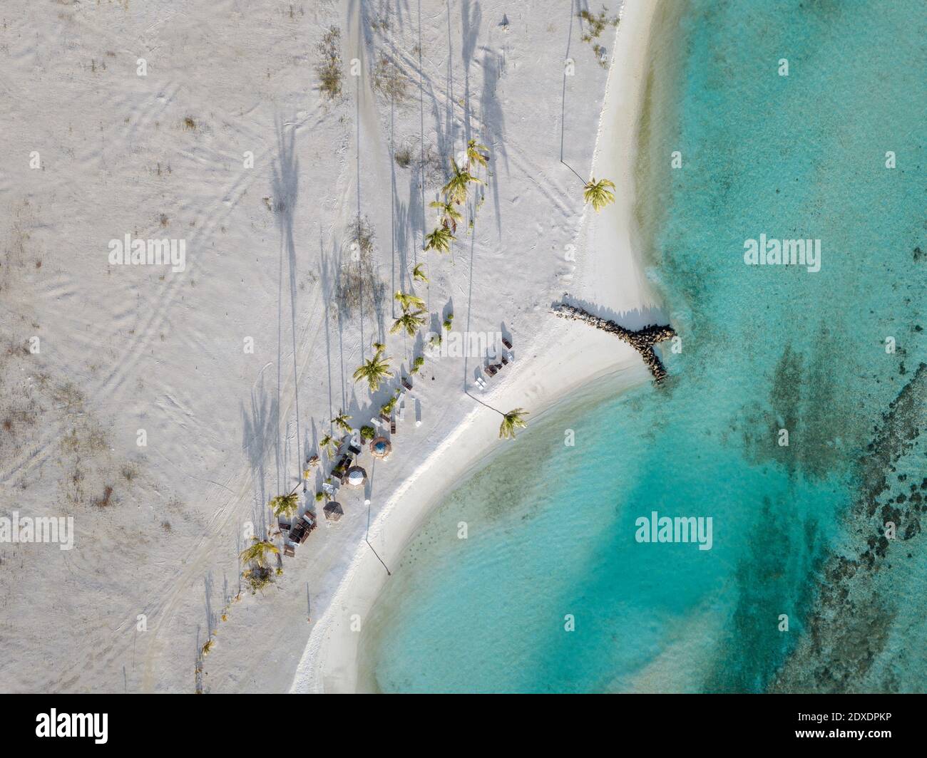 Overhead beach palm trees hi-res stock photography and images - Alamy