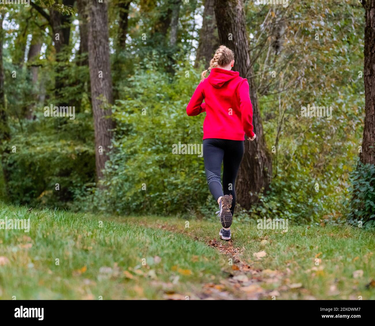 Young grass in forest hi-res stock photography and images - Alamy