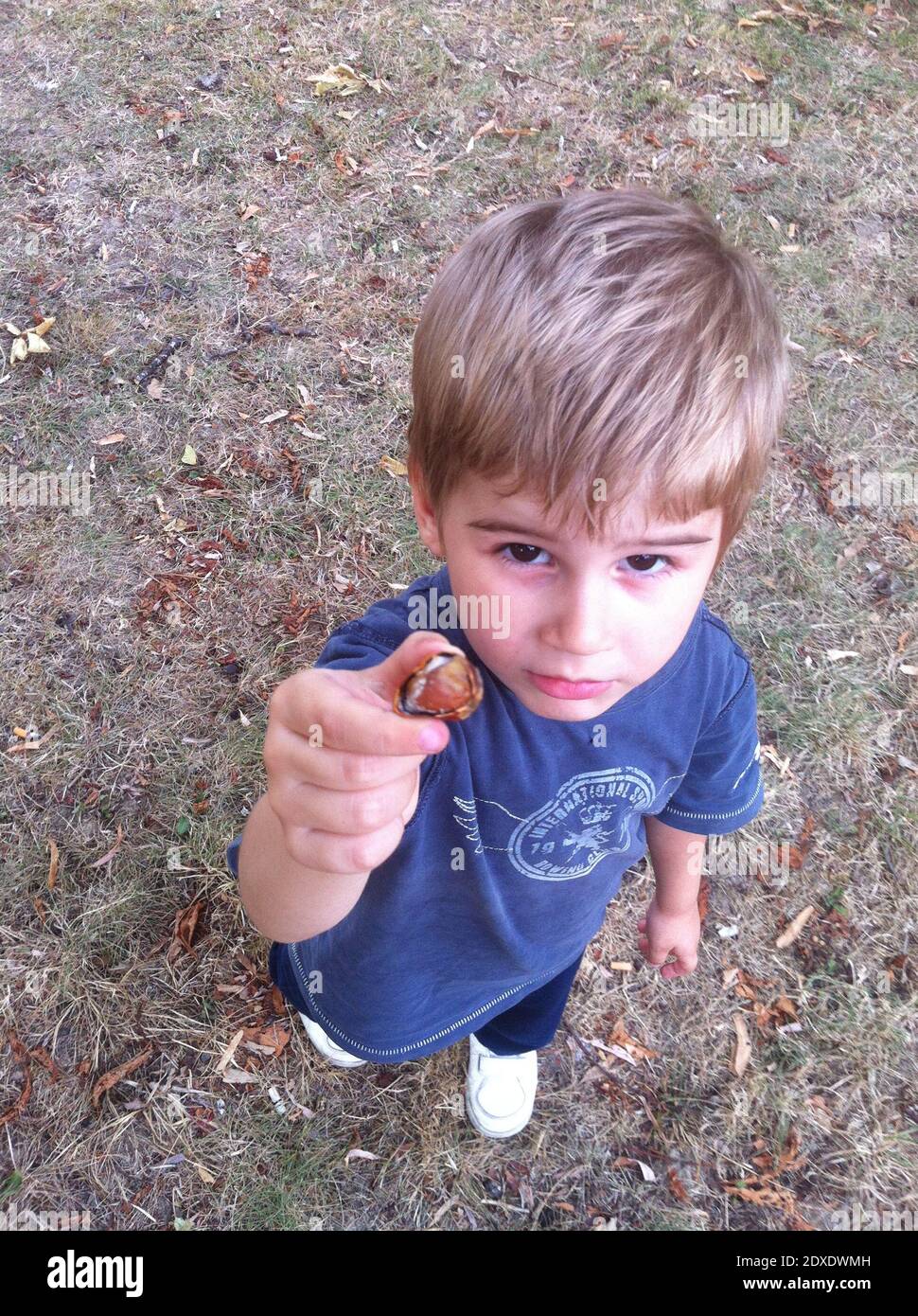 Portrait Of Boy Holding Nut On Field Stock Photo - Alamy