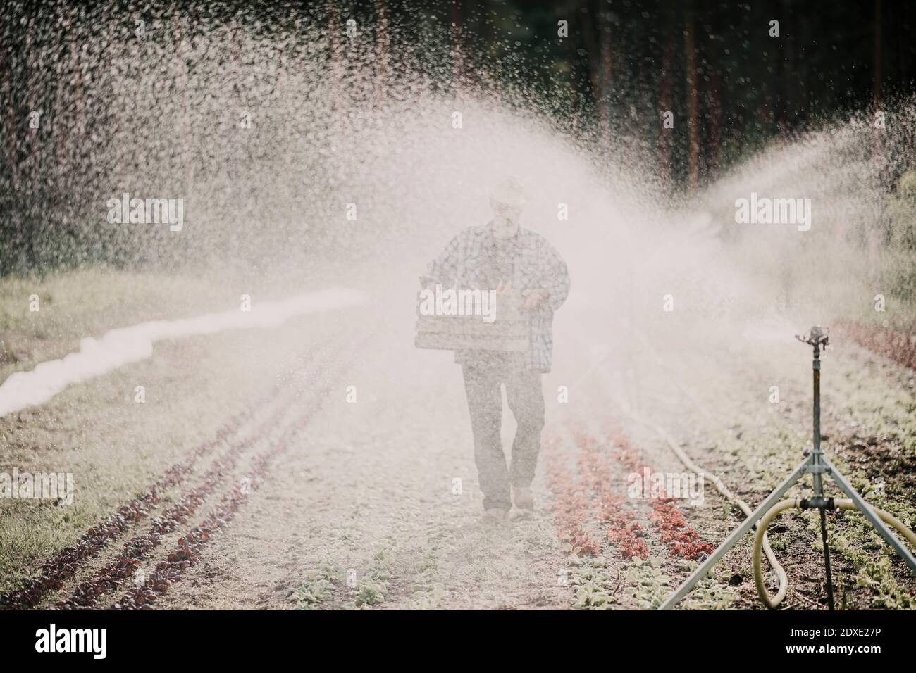 Walking irrigation hi-res stock photography and images - Alamy