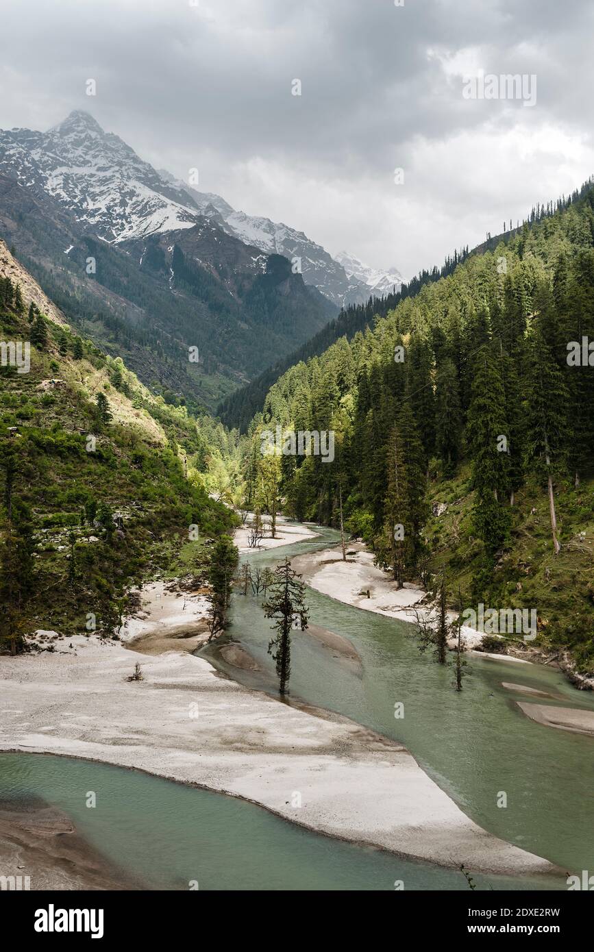 Drone view of Parvati River flowing along forested valley in Himalayas ...